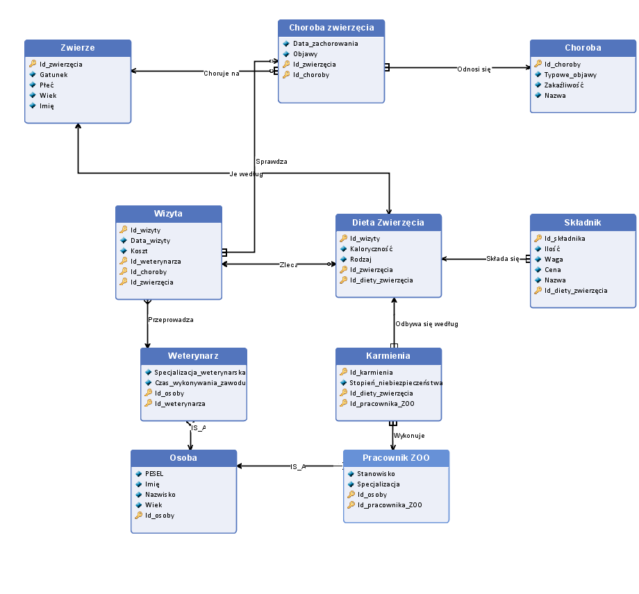 GitHub - MichalMroz21/ZOO-Database: Database in MySQL for ZOO with an Entity Relationship Diagram