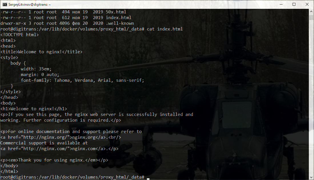 503 error when connect by external ip · Issue #1681 · nginx-proxy/nginx ...