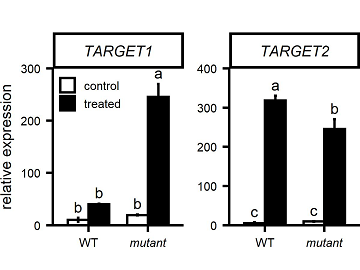 GitHub - BiotechJulia/RT-qPCR: Simple RT-qPCR data analysis and ...