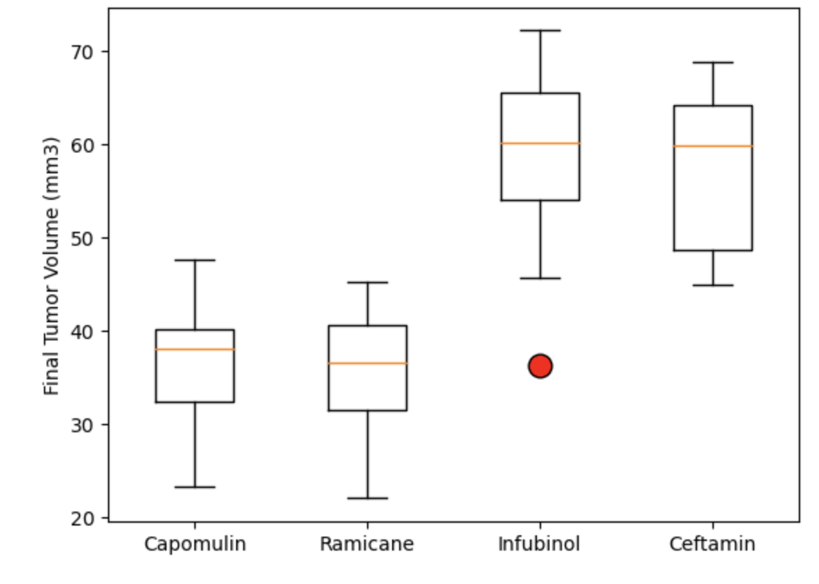 GitHub - jgillas/Module-5-Challenge
