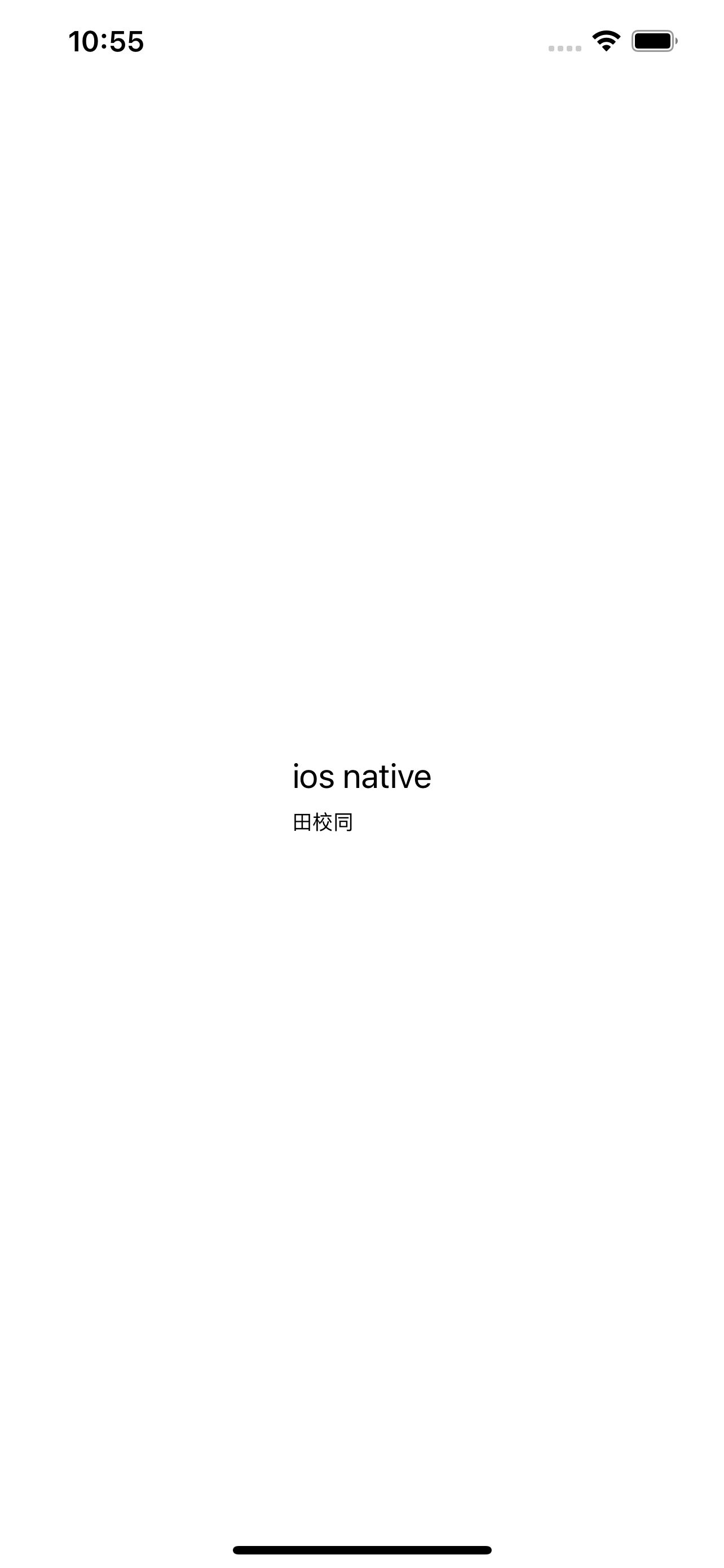 ios fontweight render incorrect · Issue #108550 · flutter/flutter · GitHub