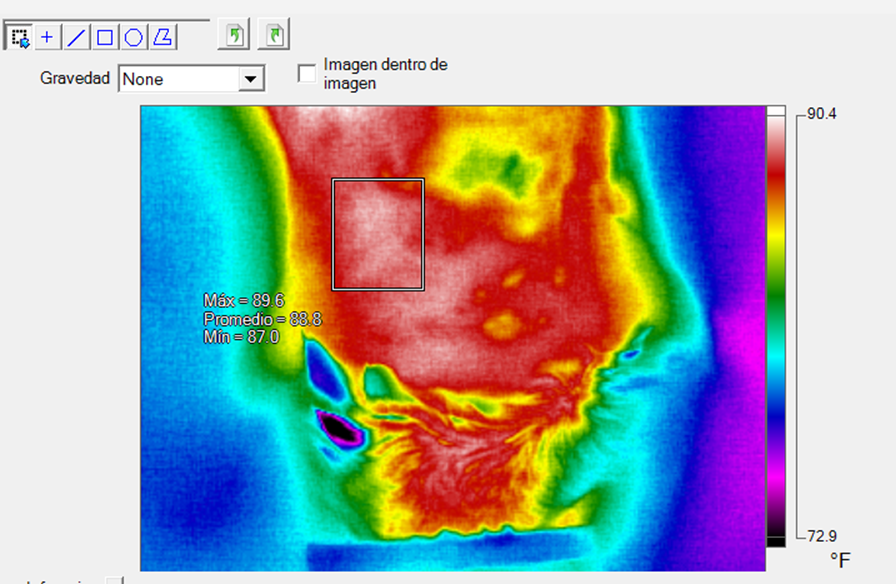 GitHub - Eitonan/thermical_image_analysis: Allows you to make a ...