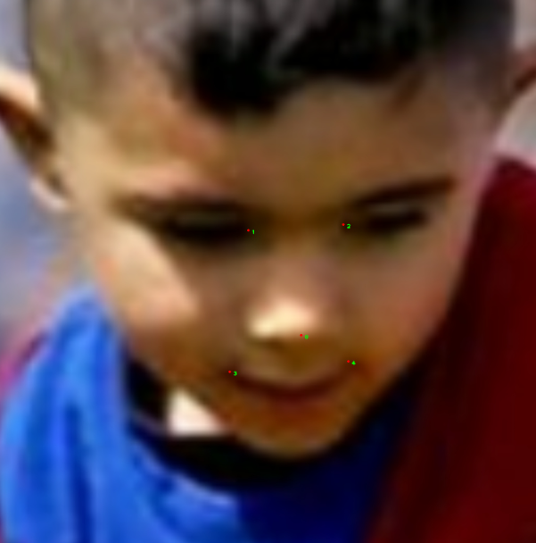 The Location Wflw Five Keypoints Of Is Very Worse Issue 3