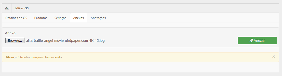 Erro ao Adicionar Arquivo · Issue #724 · RamonSilva20/mapos · GitHub