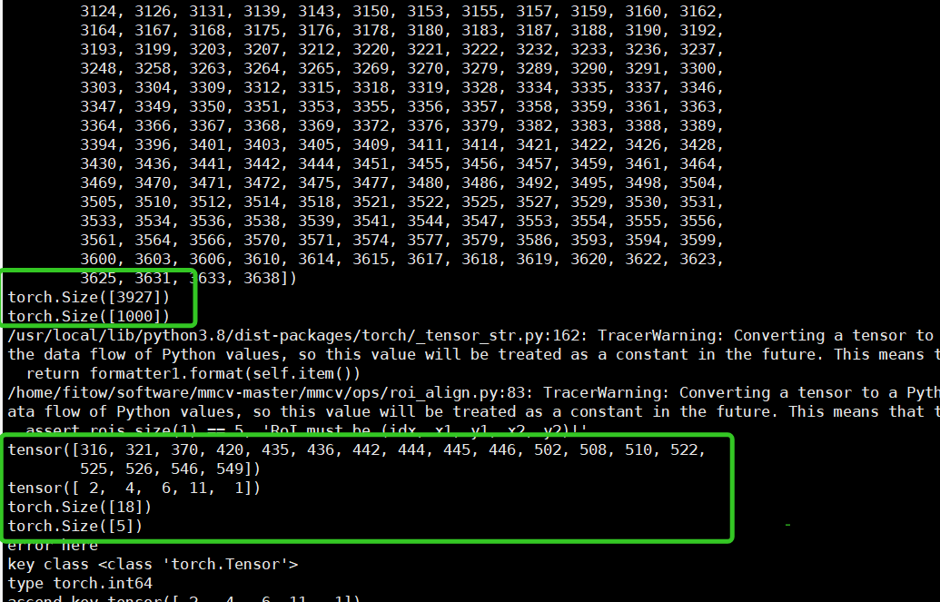 [bug] Error In Convertting Torch Model To Om Model On The Huawei Ascend Platform About Pytorch