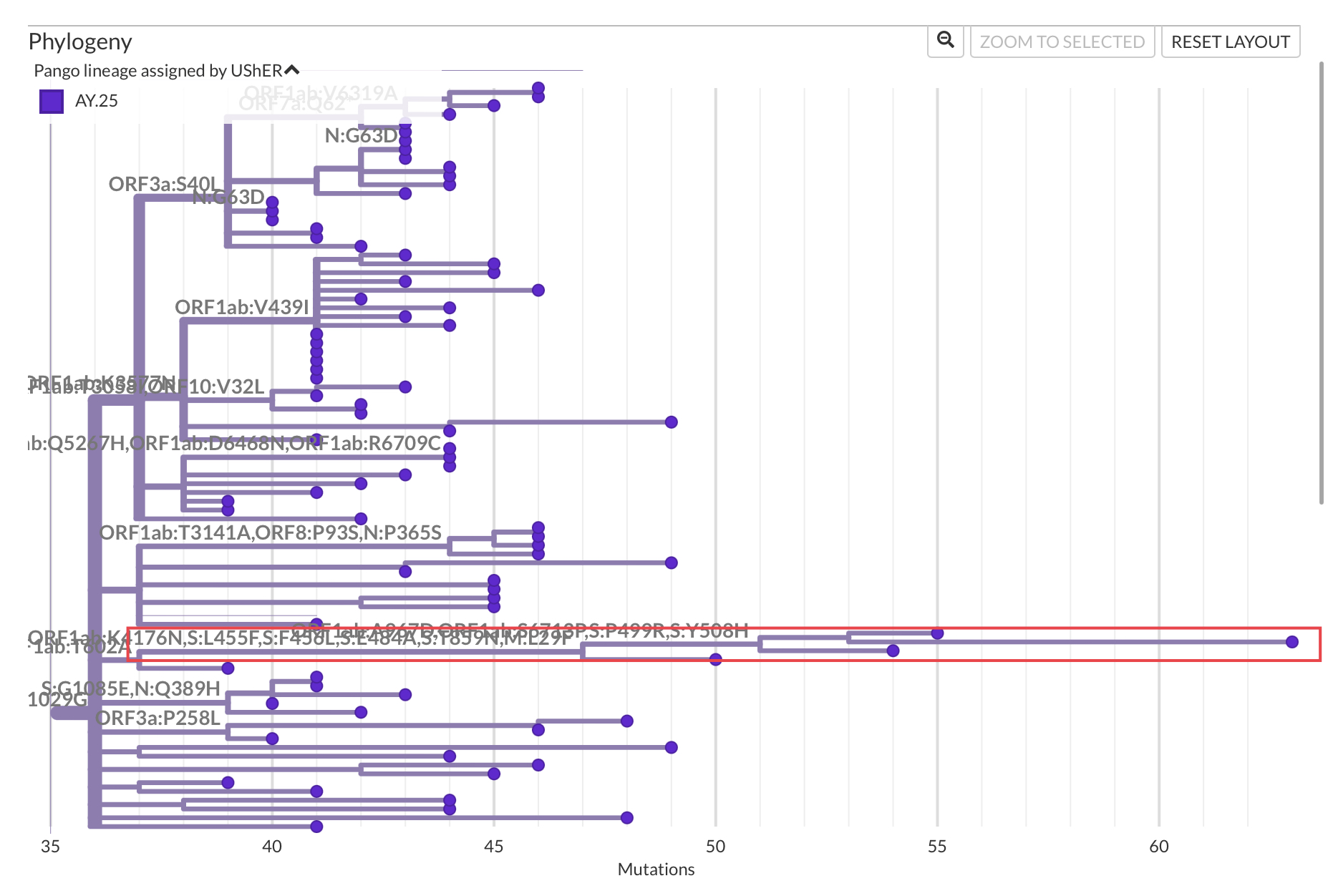 Saltation of AY.25 with S:L455F,S:F456L,S:E484A,S:T859N and other mutations.(4 sequences,USA ...