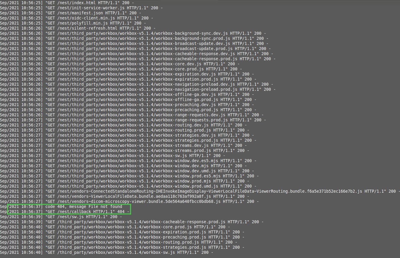 Callback going to wrong index.html when serving in Subdirectory + Google Cloud auth · Issue ...