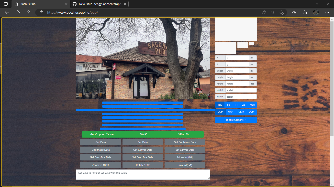 Totaly unworked · Issue #1043 · fengyuanchen/cropperjs · GitHub