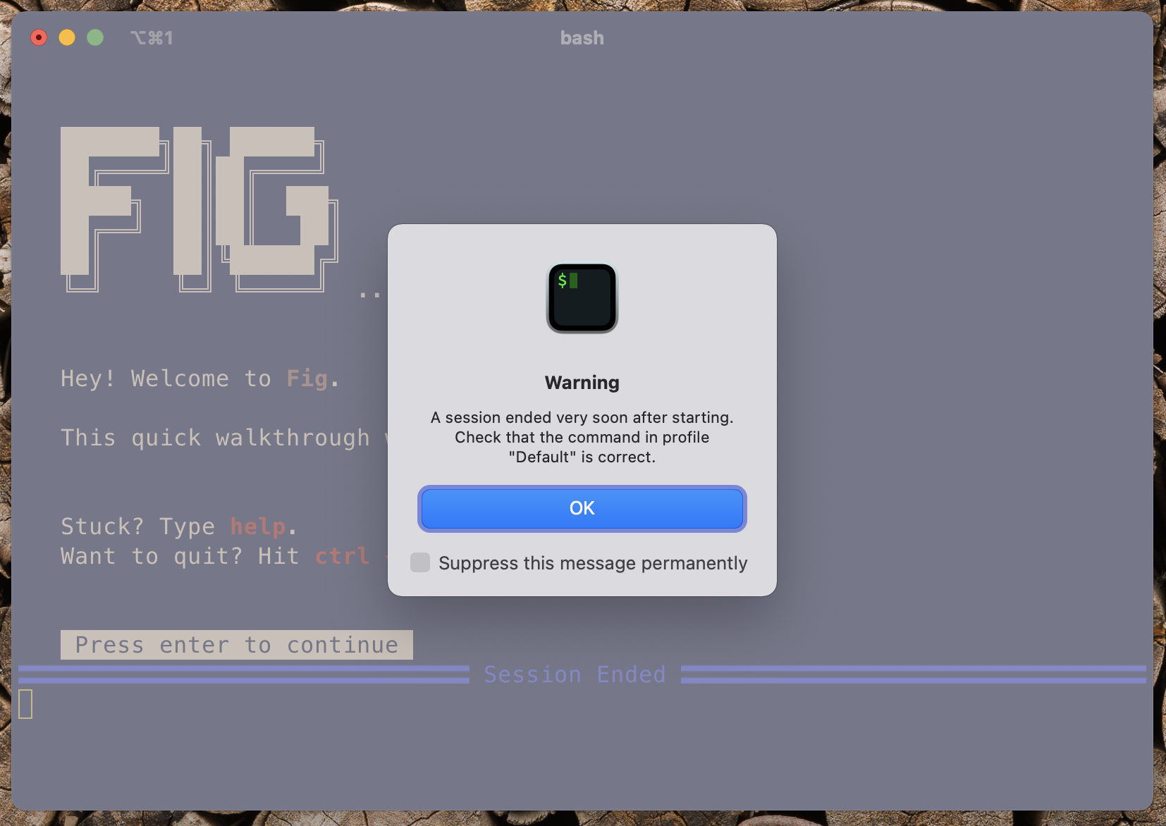 Terminal crashes each time autocomplete attempts to start up · Issue #417 · withfig/fig · GitHub