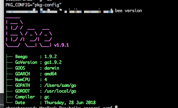 Beego ORM模块建议 · Issue #3218 · beego/beego · GitHub