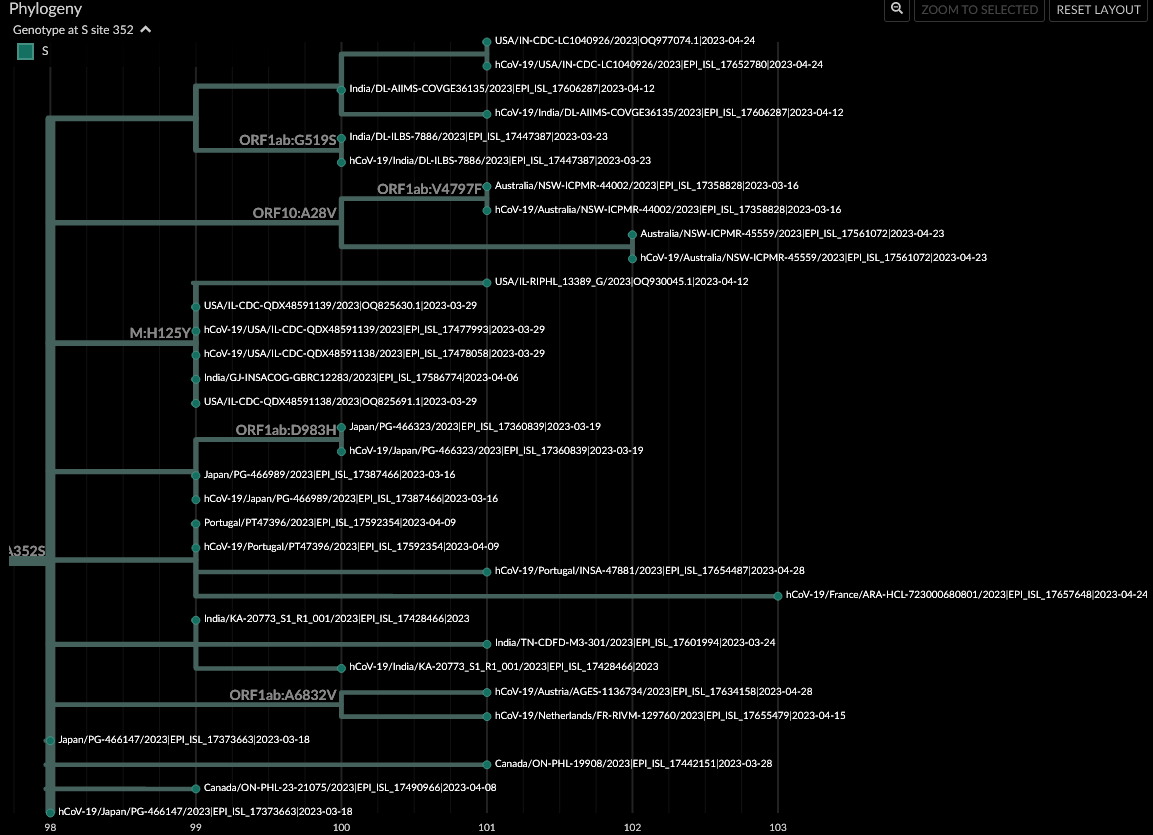 XBB.1.16 with S:A352S (18 seqs, 8 countries) · Issue #69 · sars-cov-2 ...