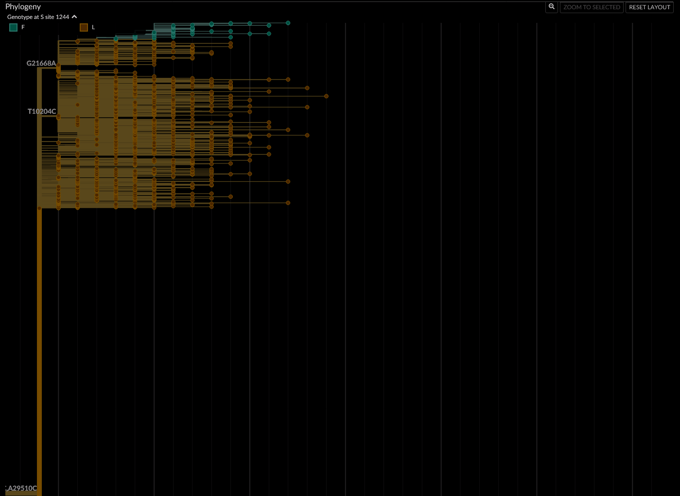 XBB.1.5 and XBB.1.9.2 branches with S:L1244F (53 seqs, 5 countries / 24 ...