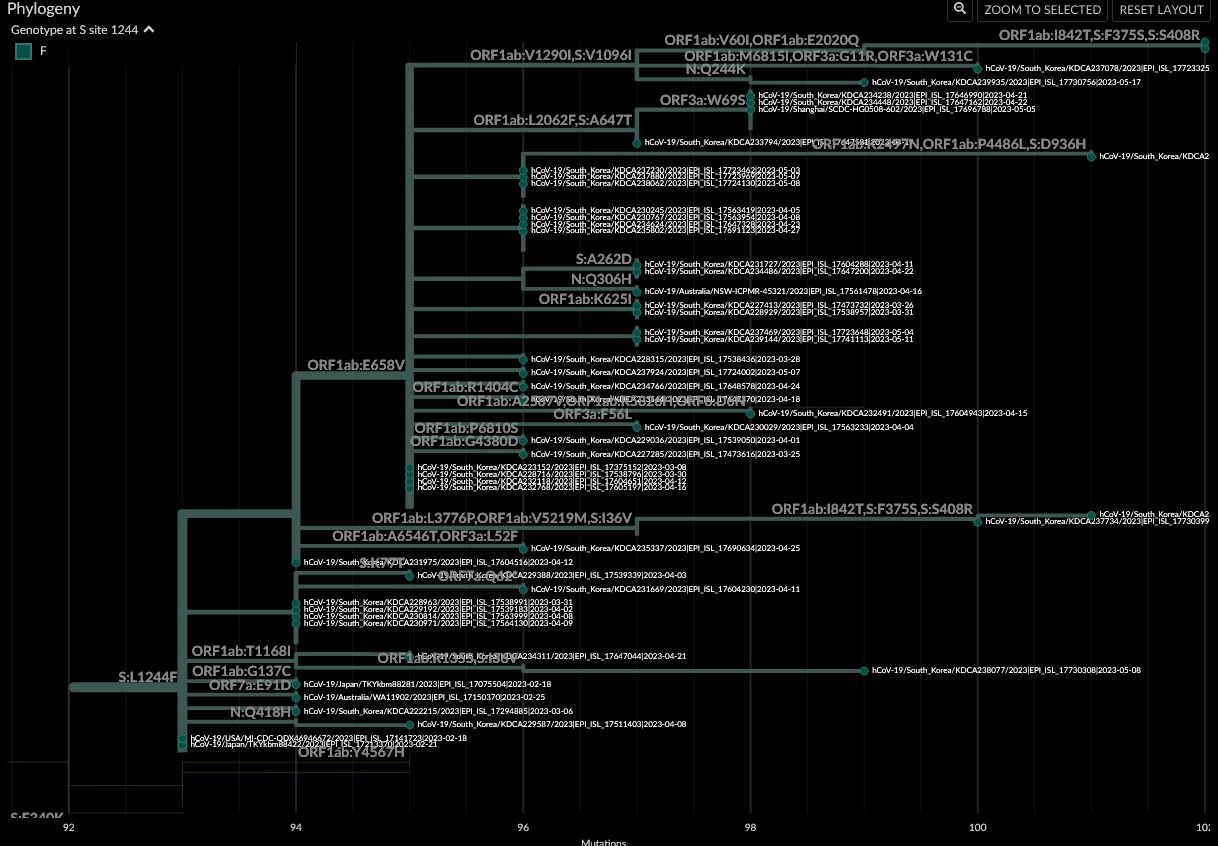 XBB.1.5 and XBB.1.9.2 branches with S:L1244F (53 seqs, 5 countries / 24 ...