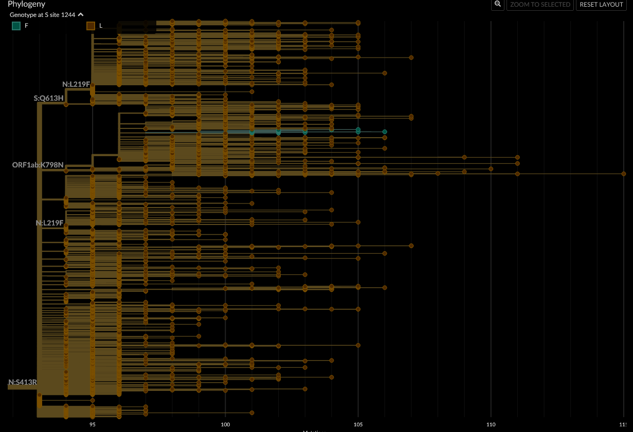 XBB.1.5 and XBB.1.9.2 branches with S:L1244F (53 seqs, 5 countries / 24 ...