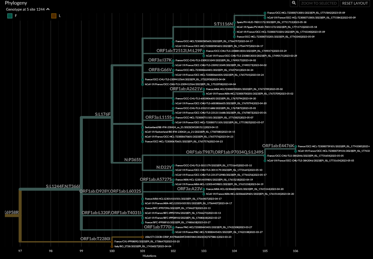 XBB.1.5 and XBB.1.9.2 branches with S:L1244F (53 seqs, 5 countries / 24 ...