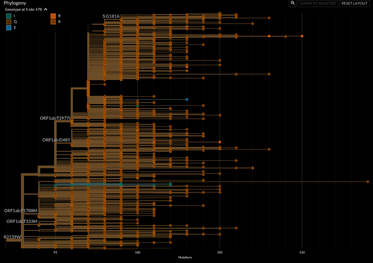 XBB.2.3.2 with multiple T478X branches (15/3/2) · Issue #236 · sars-cov ...