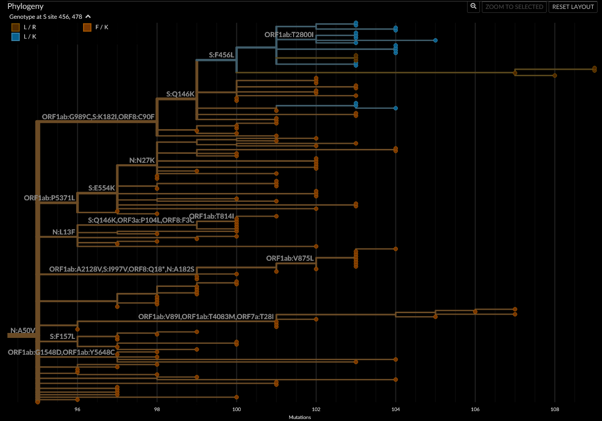 XBB.1.34.2 with S:Q146K, S:F456L (11+3 seqs, 5 countries) · Issue #255 ...