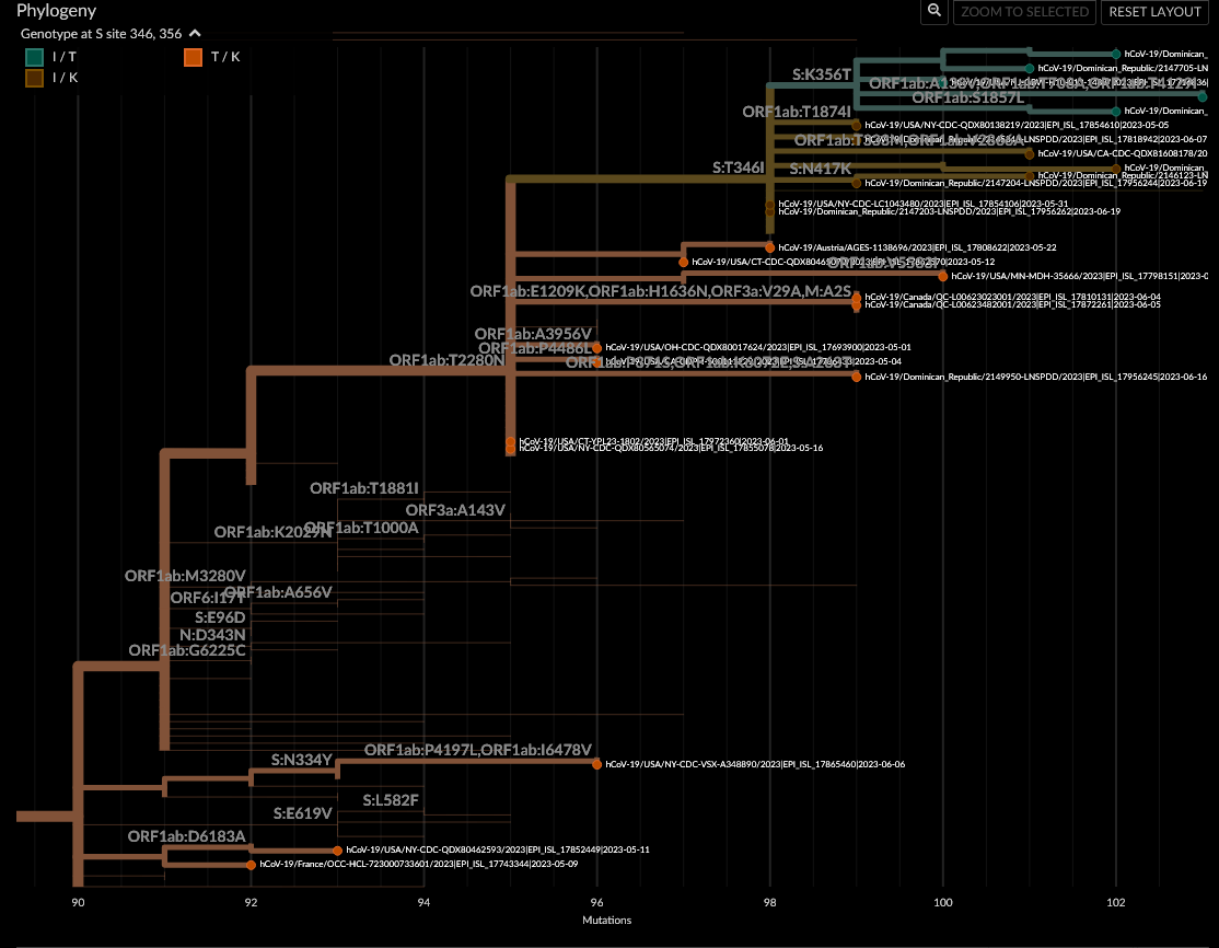 XBB.1.5 sublineage with ORF1a:T2280N, S:R346I (13 seqs)and S:K356T (5 ...