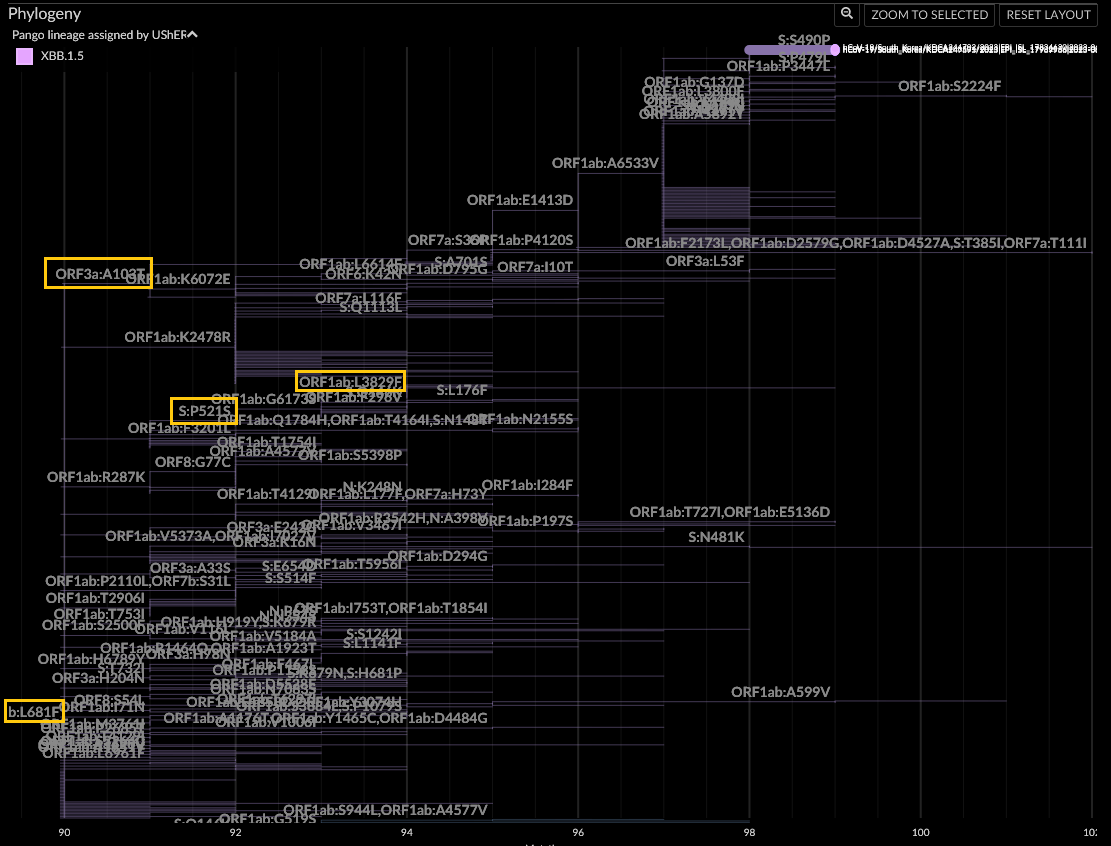XBB.1.5 with ORF1a:L681F (nsp2_L501F), ORF3a:A103T, ORF7a:S36P, ORF1a:E1413D (nsp5_E595D), ORF1b ...