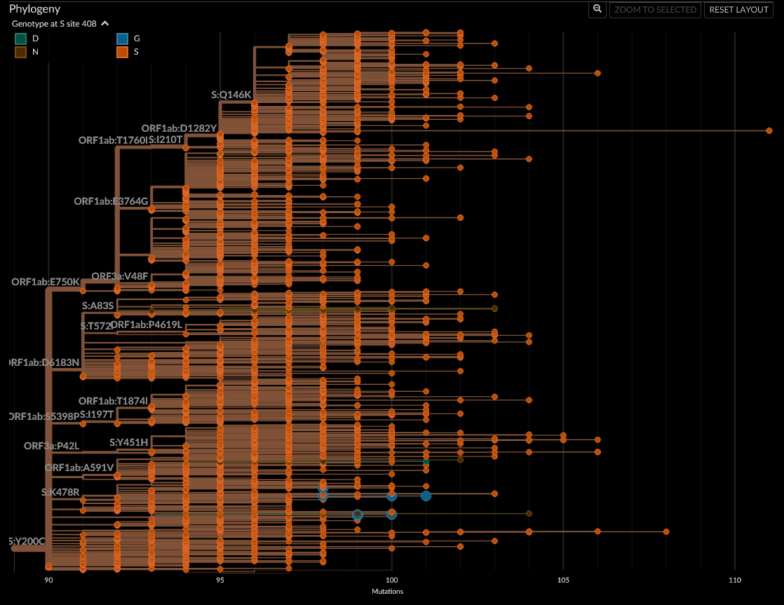 Multiple XBB.1.22.1 lineages with S:R408X · Issue #410 · sars-cov-2 ...