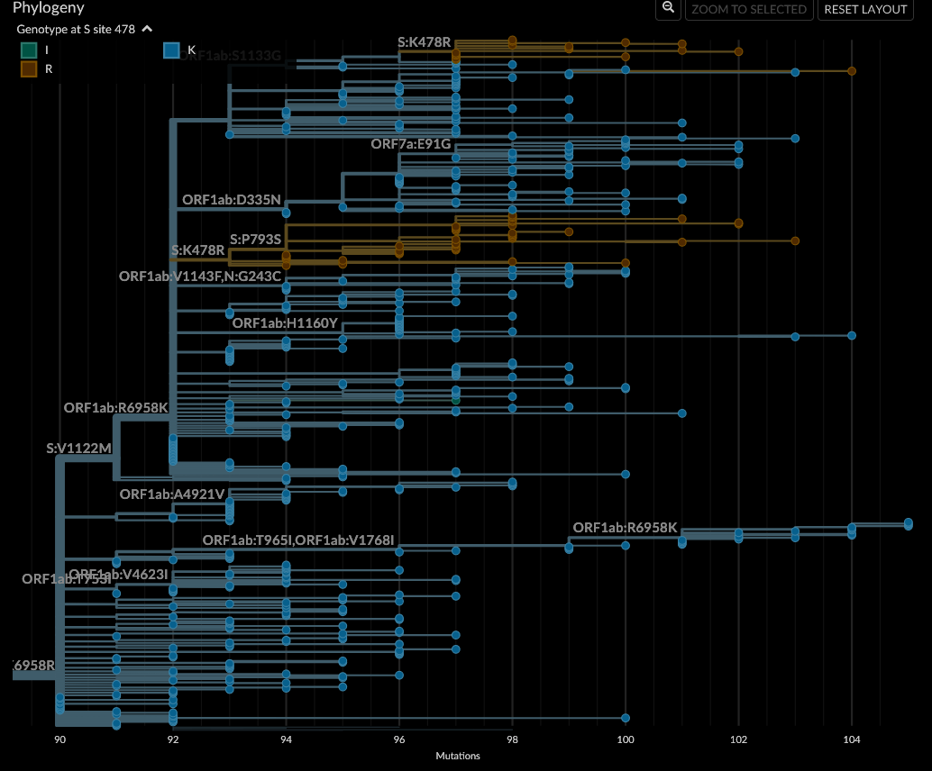Multiple XBB.1.5 branches with S:V1122M and S:T478R (45/8) · Issue #453 ...