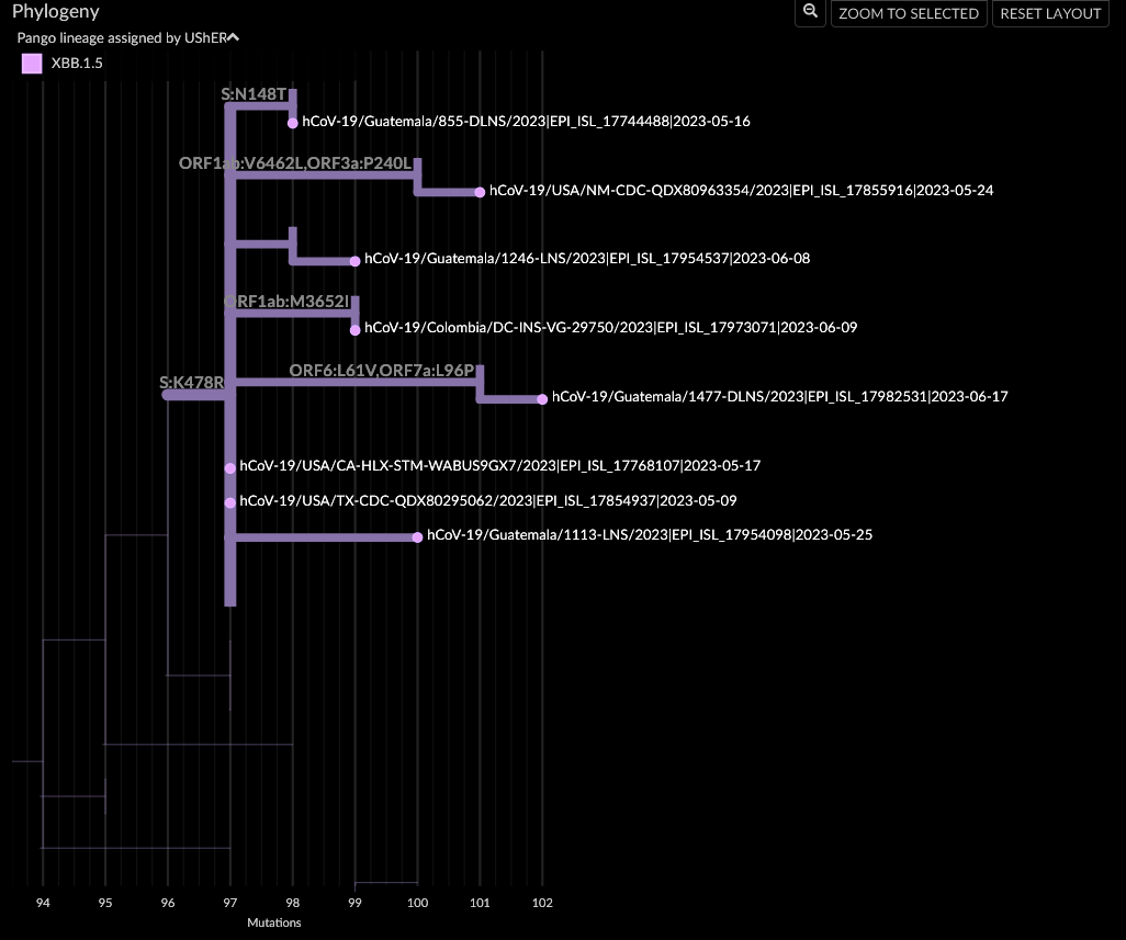 Multiple XBB.1.5 branches with S:V1122M and S:T478R (45/8) · Issue #453 · sars-cov-2-variants ...
