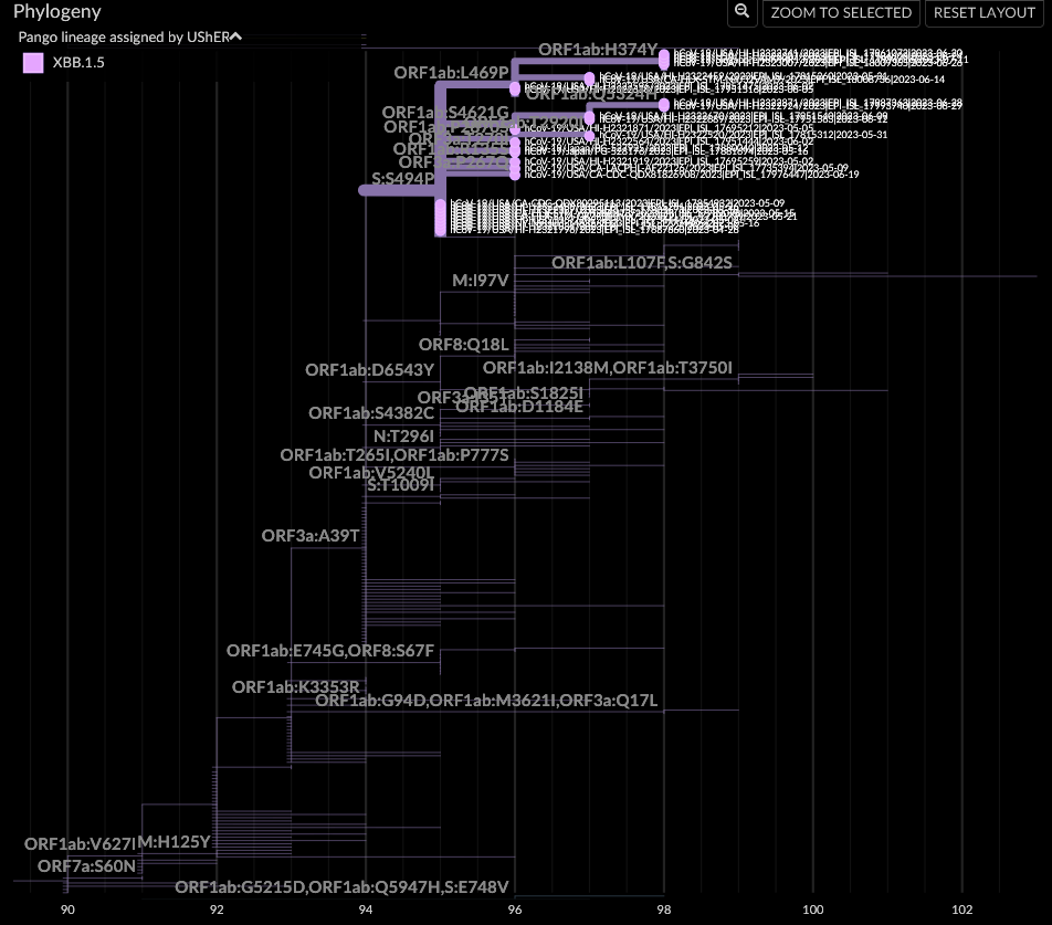 XBB.1.5 with ORF1a:V627I (nsp2_V447I), ORF3a:A39T and S:S494P (29 seqs, mainly in Hawaii, 3 ...