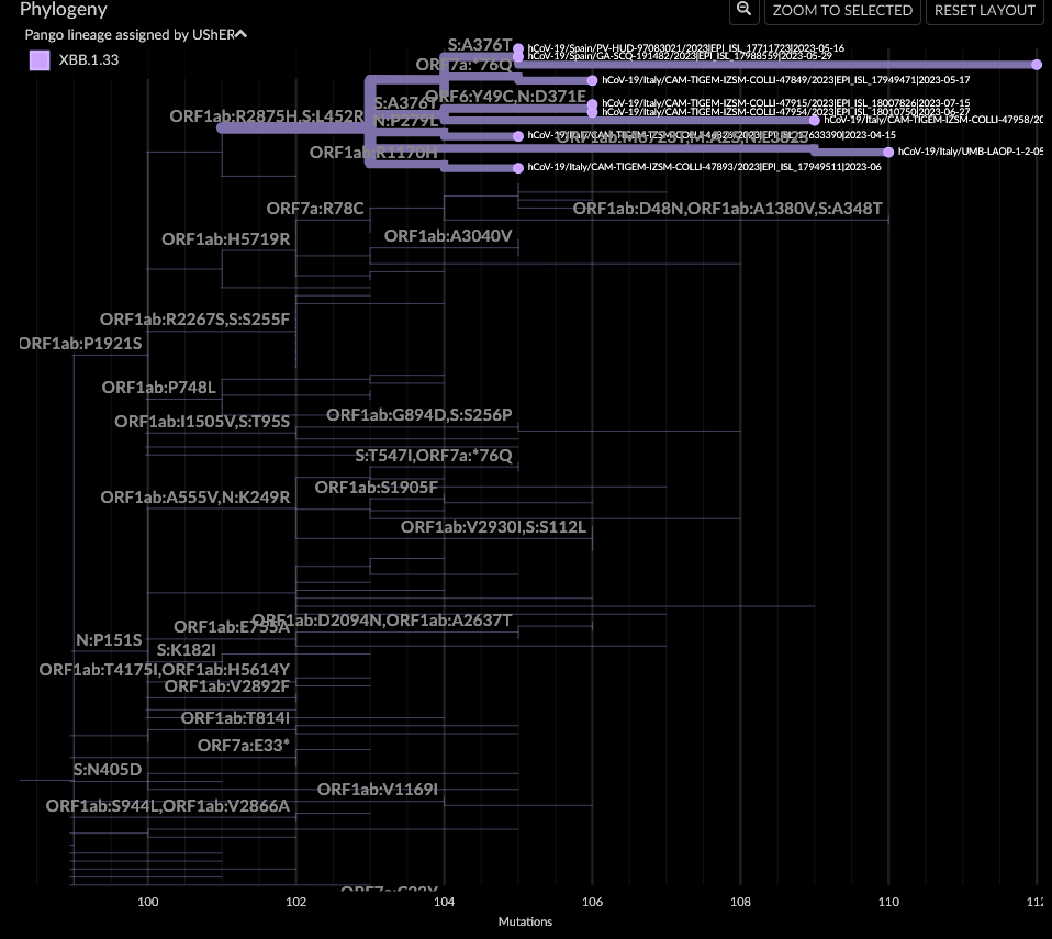 XBB.1.33 with ORF1a:P1921S (nsp3_P1103S) ORF1a:R2875H (nsp4_R112H) and S:L452R (10 seqs, Italy ...