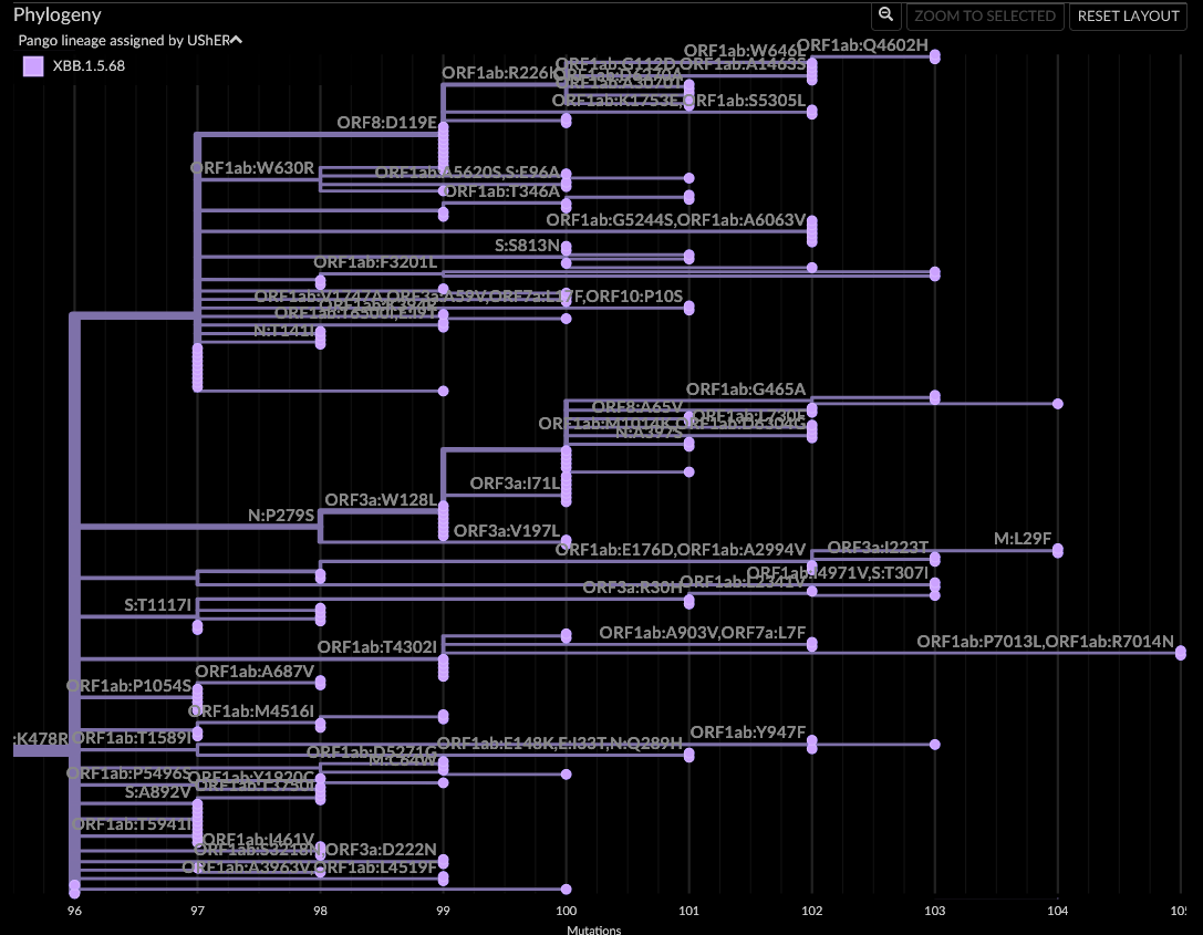 XBB.1.5.68 with ORF1a:F3486L (nsp5_F223L), ORF8:Q72L and S:T478R (101 seqs, mainly in the USA, 5 ...