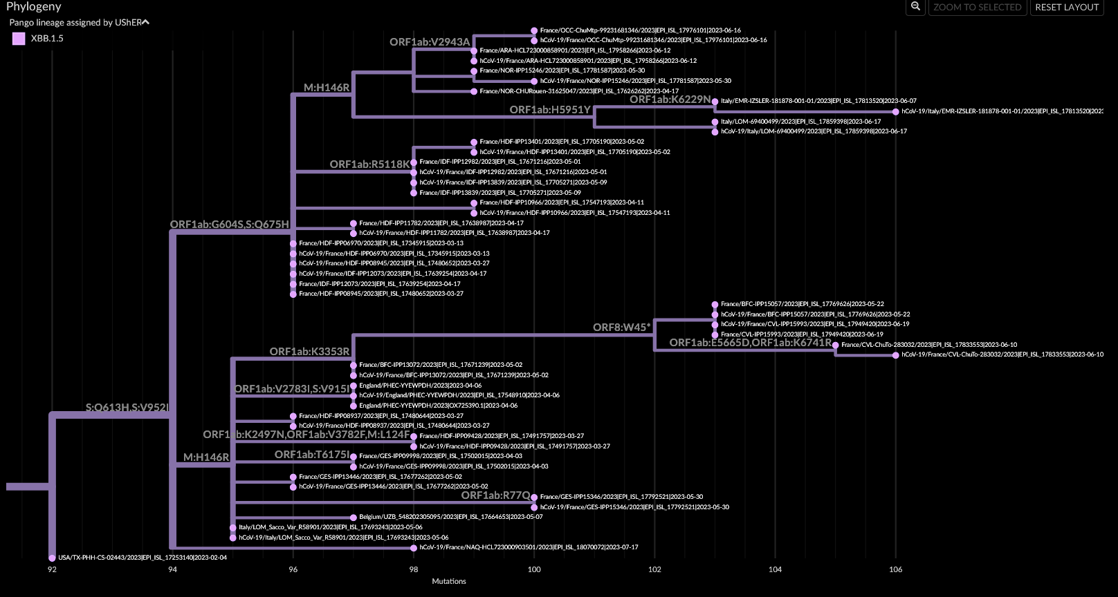 A few interesting lineages on XBB.1.5's messy M:R146H branch · Issue ...
