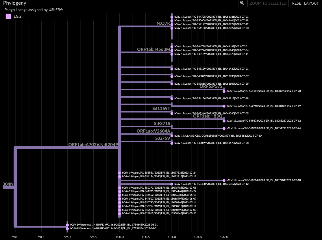EG.2 with S:K304N (32 seqs, mainly in Japan, 3 countries) · Issue #2188 · cov-lineages/pango ...