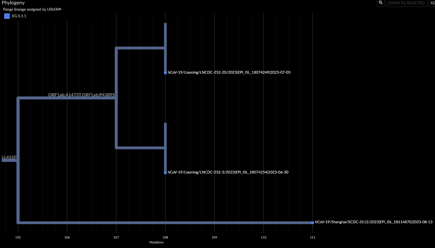 Multiple EG.5.1* Lineages with S:L455F · Issue #537 · sars-cov-2-variants/lineage-proposals · GitHub