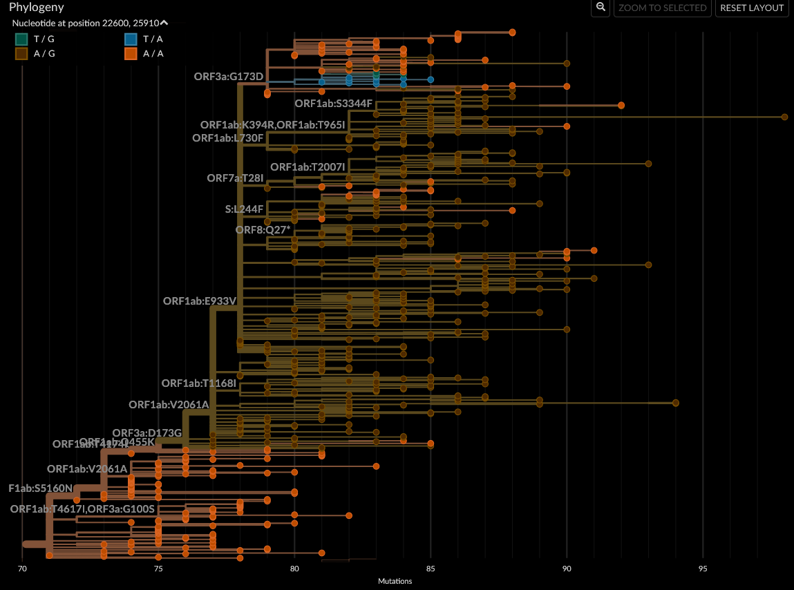 XBC.1.3 (a sublineage of #542) with S:R346S (9 seqs, Australia) · Issue #673 · sars-cov-2 ...