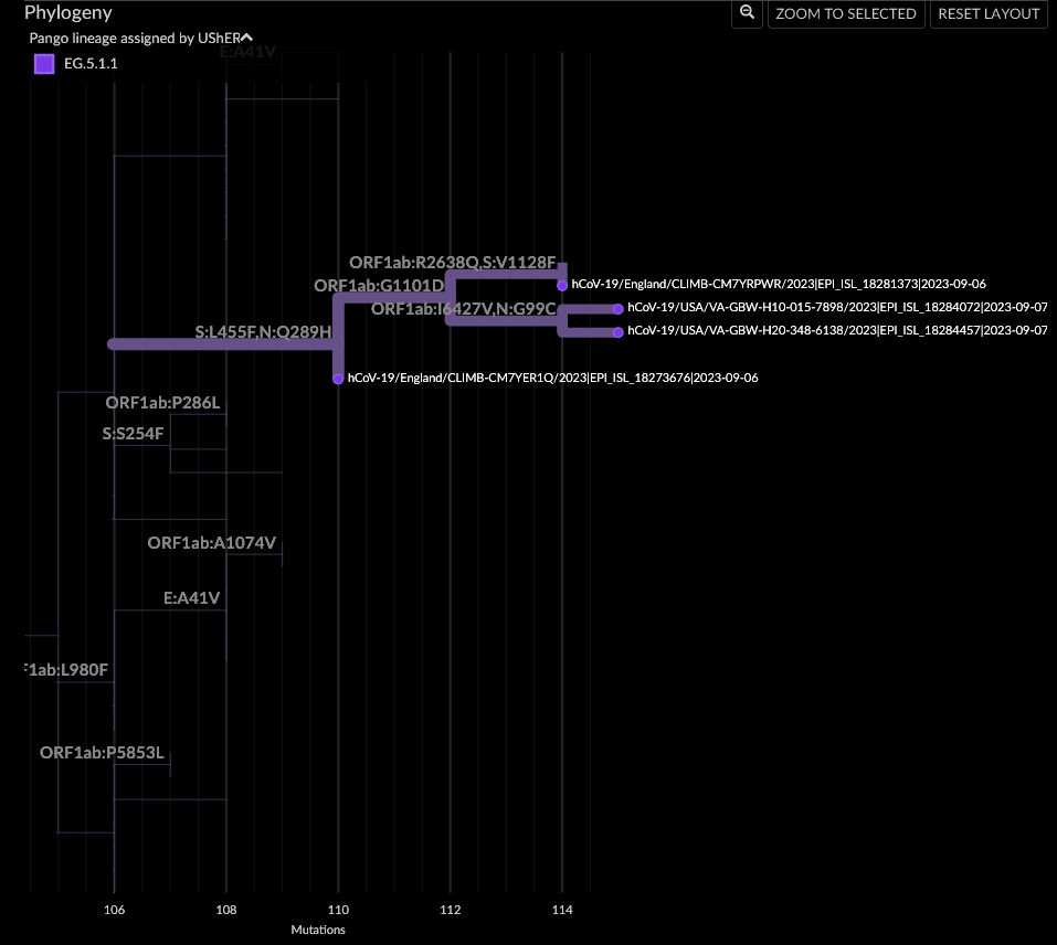 Multiple EG.5.1* Lineages with S:L455F · Issue #537 · sars-cov-2-variants/lineage-proposals · GitHub