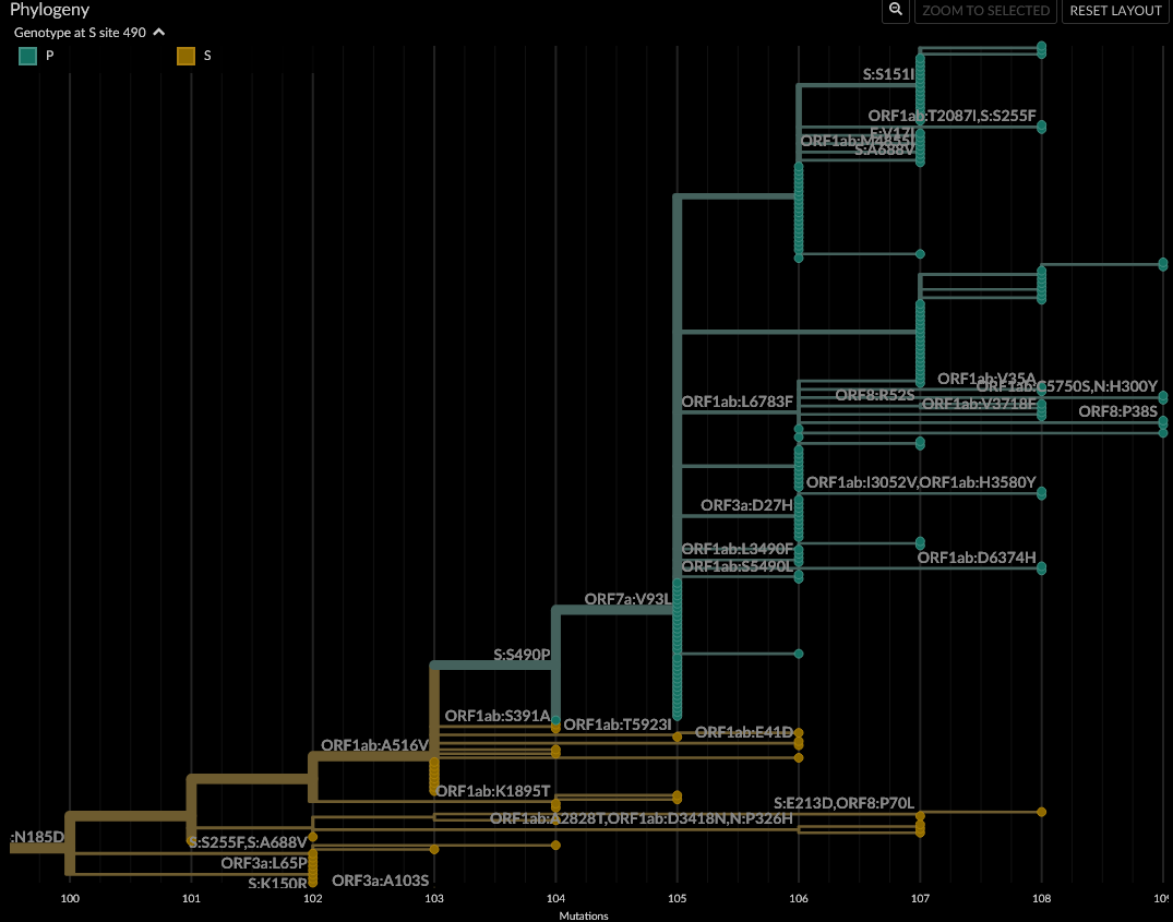 XBB.1.16 with ORF1a:R135K (nsp1_R135K), S:N185D, ORF1a:A516V (nsp2 ...