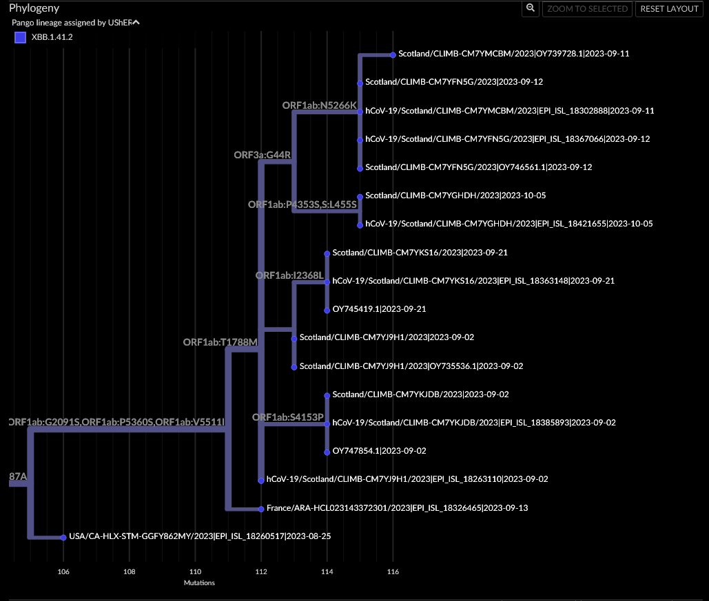 Potential GJ.1.2* and XBB.1.41.2 Recombinant (7 seqs, Scotland, France) · Issue #1011 · sars-cov ...