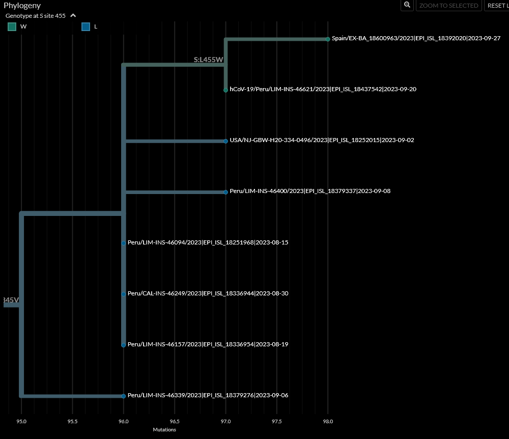 GN.1 (XBB.1.5.73.1) with ORF1a:A2345V (nsp3_A1527V) and S:L455W (2 seqs, Peru, Spain) · Issue ...