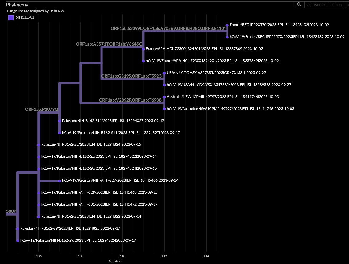XDE: Potential GW.5.1*/ FL.13.4 recombinant that gained ORF8:G8* and ORF9b:I5T (15 seqs ...