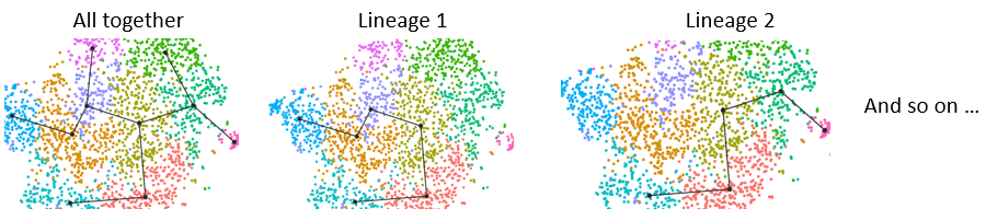Drawing one lineage at a time · Issue #138 · kstreet13/slingshot · GitHub