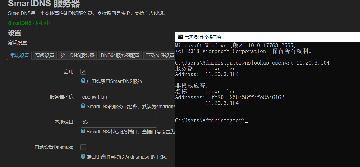 openwrt第一服务器设置53端口后，为何必须是路由的静态地址而不是可以openwrt.lan方式登录路由? · Issue #1367 · pymumu/smartdns · GitHub