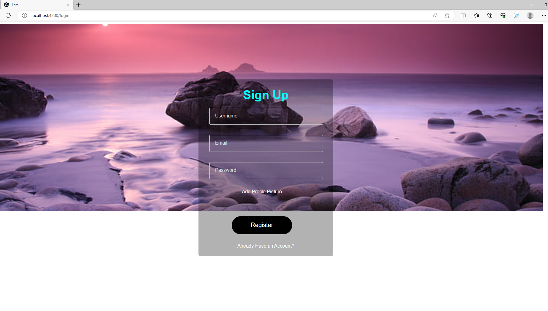 GitHub - AmirHastor1/Lara-AP_Internship_Project
