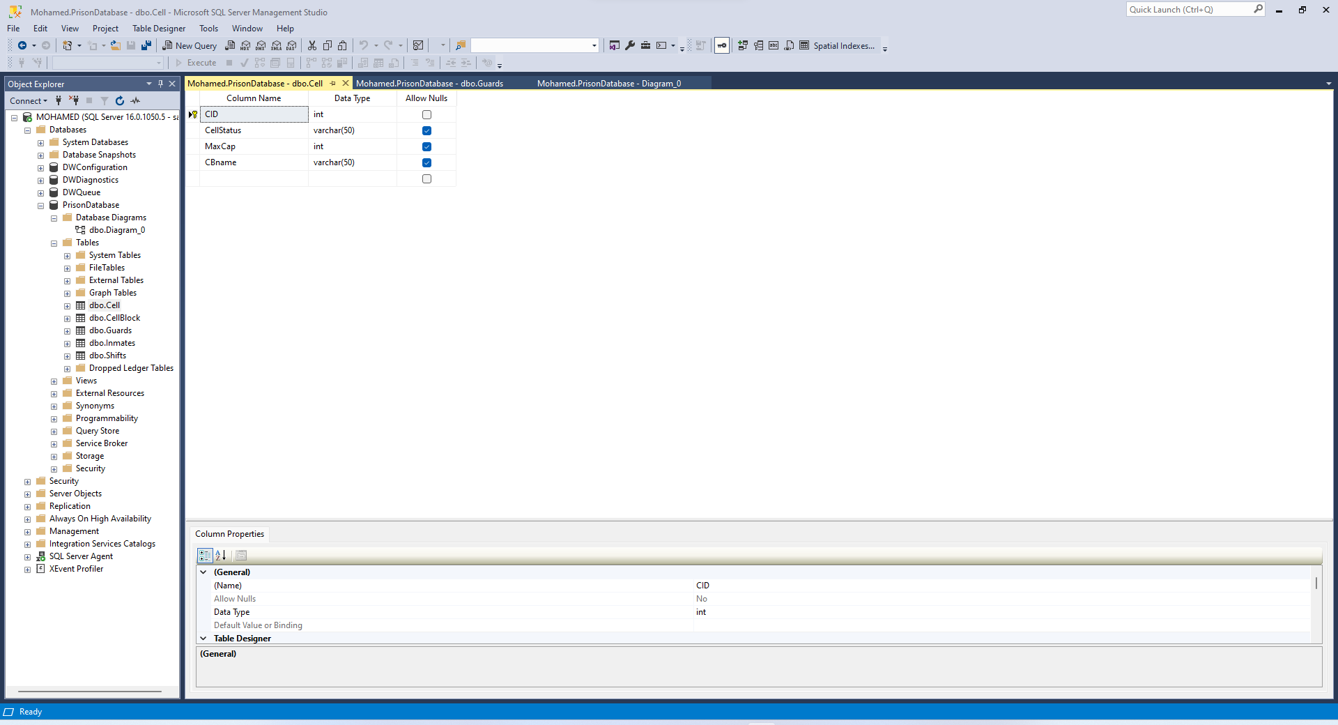 GitHub - Absawymedo/Prison-Database