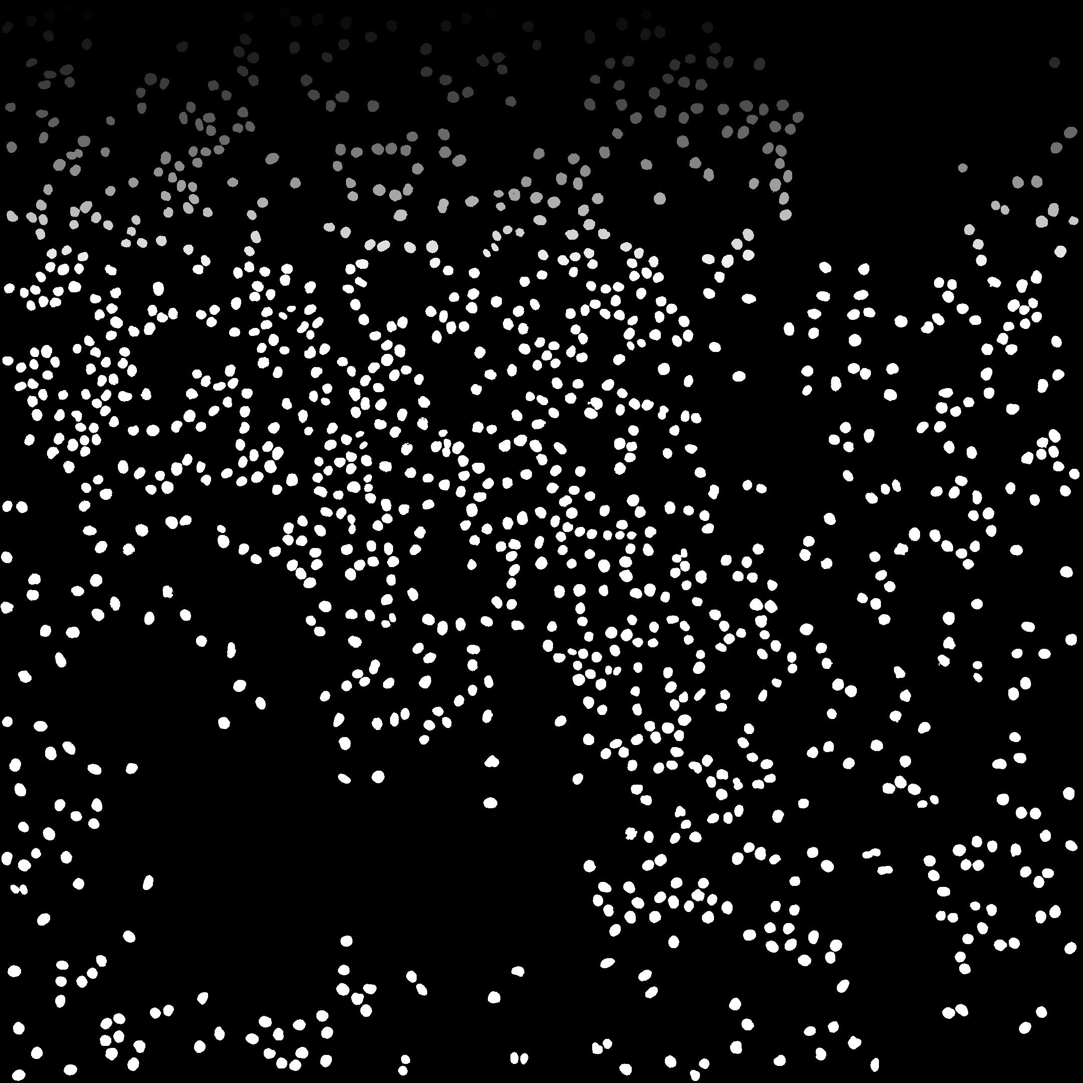 GitHub - VU-CSP/improc_assignment-egfisher: improc_assignment-egfisher created by GitHub Classroom