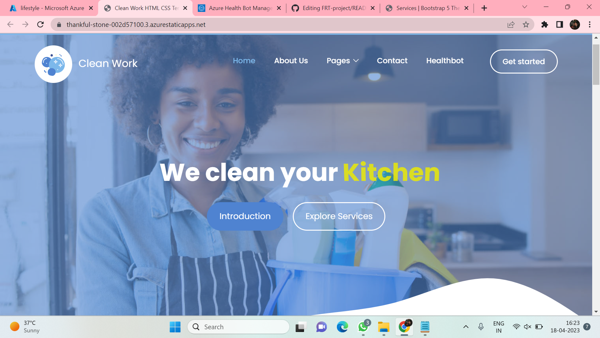 GitHub - eluriraghava/FRT-project