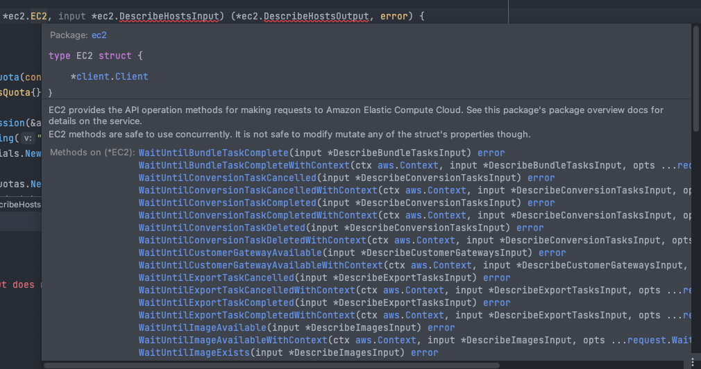 Can't retrieve EC2 methods in Goland · Issue #4549 · aws/aws-sdk-go · GitHub