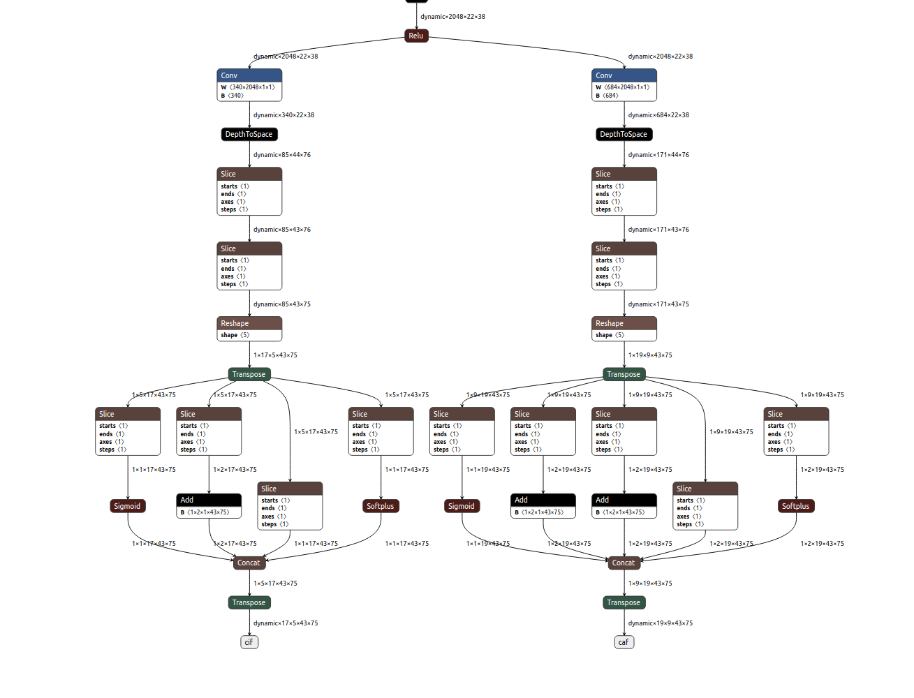 Onnx dynamic export input · Issue #436 · openpifpaf/openpifpaf · GitHub