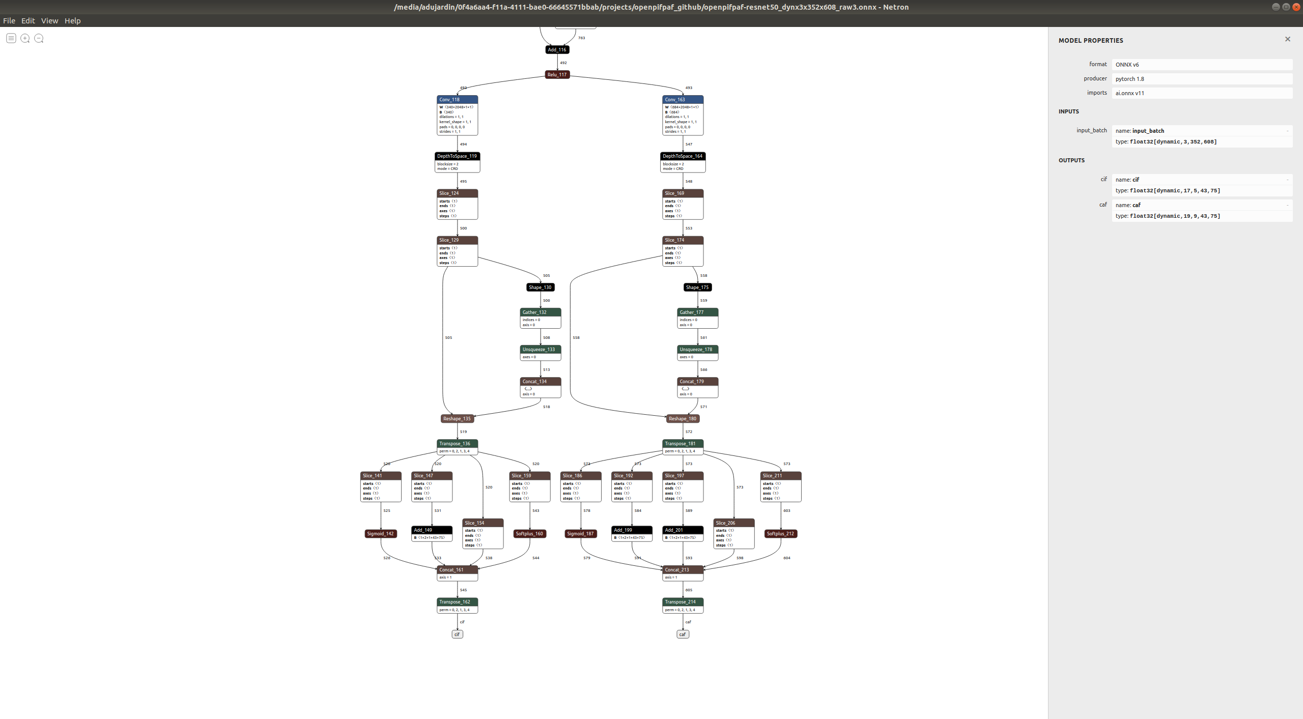Onnx dynamic export input · Issue #436 · openpifpaf/openpifpaf · GitHub