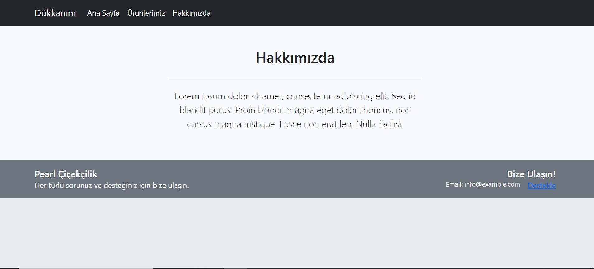 GitHub - BejnaDemir/BootstrapOdevi: Patika eğitiminde aldığım bootstap eğitimi kapsamında ...