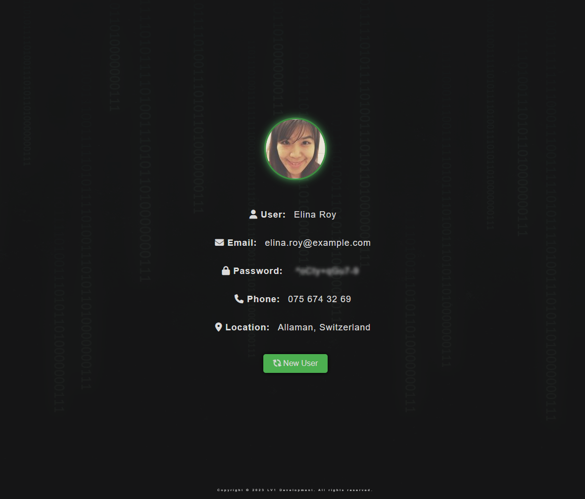 GitHub - LV1Dev/profile_generator