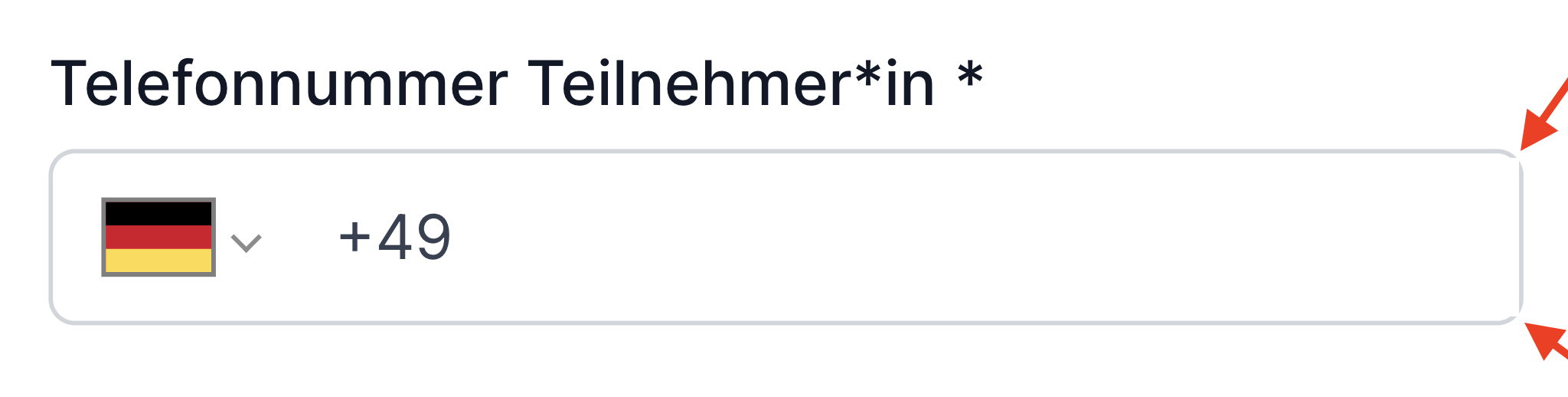 Display error input fields booking form · Issue #8195 · calcom/cal.com · GitHub
